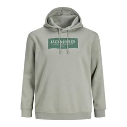 Jack & Jones Plus JACK & JONES PLUS Kapuzenpullover in Seagrass | Gr.: 3XL