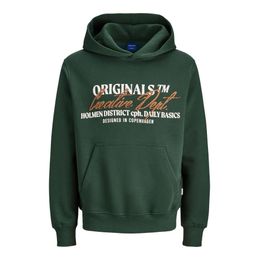 Jack & Jones Jack & Jones Kapuzenpullover in Sycamore | Gr.: M