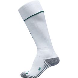 Hummel Fu&szlig;ball Socken Pro Football Erwachsene in WHITE/EVERGREEN | Gr.: 42