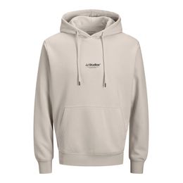 Jack & Jones Plus JACK & JONES PLUS Kapuzenpullover in Moonbeam | Gr.: 5xl