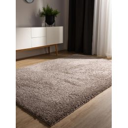 benuta Basic Waschbarer Hochflor Shaggyteppich Soho Taupe 60x120 cm - Bettvorleger f&uuml;r Schlafzimmer