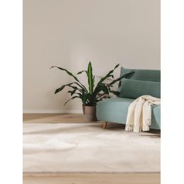benuta Basic - Kunstfell-Teppich Furry Beige 80x150 cm