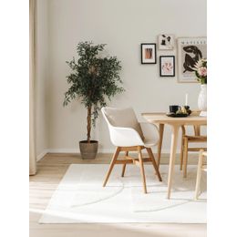 benuta Pop Baumwollteppich Isla Cream 160x230 cm - Moderner Kurzflor-Teppich f&uuml;r Wohnzimmer