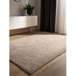 benuta Basic Waschbarer Hochflor Shaggyteppich Soho Beige 60x120 cm - Bettvorleger f&uuml;r Schlafzimmer