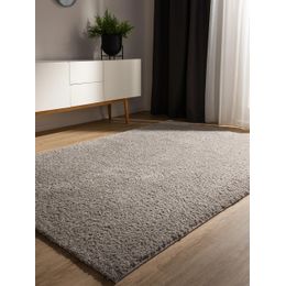 benuta Basic Waschbarer Hochflor Shaggyteppich Soho Hellgrau 80x150 cm - Bettvorleger f&uuml;r Schlafzimmer
