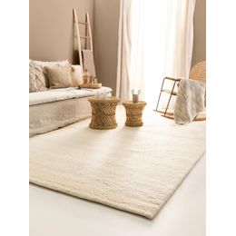 benuta Pure Wollteppich Berber Cream 200x300 cm - Naturfaserteppich aus Wolle