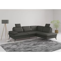 Sit & More Ecksofa SIT & MORE "Morris L-Form, inkl. Sitztiefenverstellung", grau (anthrazit), B:262cm H:82cm T:212cm, Sofas, Ecksofa, wahlweise mit Armteilverstellung, Bettfunktion & Bettkasten
