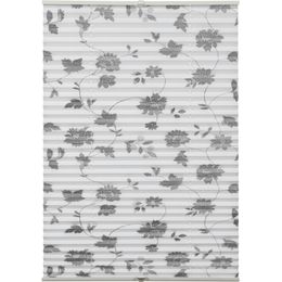 Plissee Gardinia "Concept zum Klemmen Flowers and Plants Bl&uuml;te", wei&szlig;, B:60cm H:130cm, Obermaterial: 100% Polyester, Plissees, Plissee, in der Breite k&uuml;rzbar