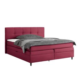 Boxspringbett Miami Weinrot ca. 160x200cm