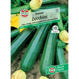 Zucchini 'Diamant' F1-Hybride