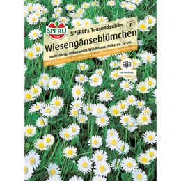Wieseng&auml;nsebl&uuml;mchen 'SPERLI's Tausendsch&ouml;n'
