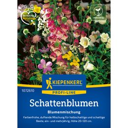 Blumenmischung 'Schattenblumen'