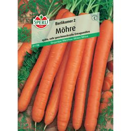 M&ouml;hre 'Berlikumer 2'