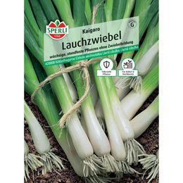 Lauchzwiebel 'Kaigaro'