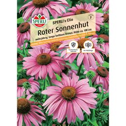 Roter Sonnenhut 'SPERLI's Clio'