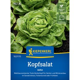 Kopfsalat 'John'