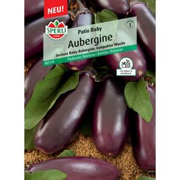 Aubergine 'Patio Baby' F1-Hybride