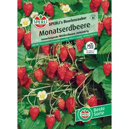 Monatserdbeere 'SPERLI's Bowlenzauber'