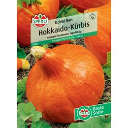Hokkaido-K&uuml;rbis 'Uchiki Kuri'