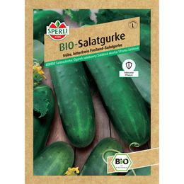 BIO-Salatgurke 'Sonja'