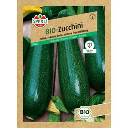 BIO-Zucchini 'Dunja' F1-Hybride