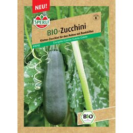 BIO-Zucchini 'Ola Escaladora'