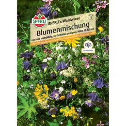 Blumenmischung 'Waldwiese'