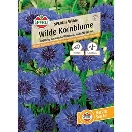 Wilde Kornblume 'SPERLI's Wilde'