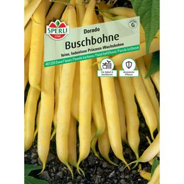 Buschbohne 'Dorado'