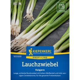 Lauchzwiebel 'Kaigaro'