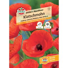 Klatschmohn 'SPERLI's Abendfeuer'