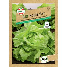 BIO-Kopfsalat 'Suzan'