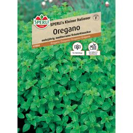 Oregano 'SPERLI's Kleiner Italiener'