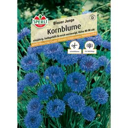 Kornblume 'Blauer Junge'