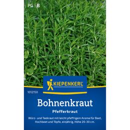 Bohnenkraut 'Pfefferkraut'