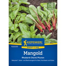 Kiepenkerl Mangold 'Rhubard Chard / Pluton' Lieferform: Portionssaatgut