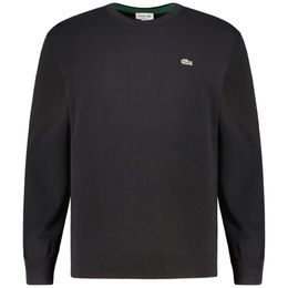 Gro&szlig;e Gr&ouml;&szlig;en Lacoste Feinstrickpullover aus Biobaumwolle Farbe schwarz Gr&ouml;&szlig;e: 4XL