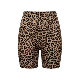 Studioselect Shorts 'Hanni' Damen Gr&ouml;&szlig;e XL braun / cappuccino / schwarz