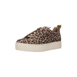 SALAMANDER Sneakers female size 36 Brown / Cappuccino / Dark brown