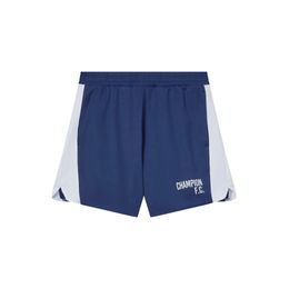Champion Authentic Athletic Apparel Shorts Herren Gr&ouml;&szlig;e 31/32 dunkelblau / wei&szlig;