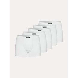 Walbusch Baumwoll-Pants Everyday 5er Set