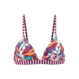Venice Beach Bikini Top female Red size 36