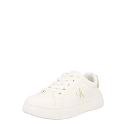 Calvin Klein Jeans Sneaker 'ANNIE' Jungen Gr&ouml;&szlig;e 38 beige / offwhite