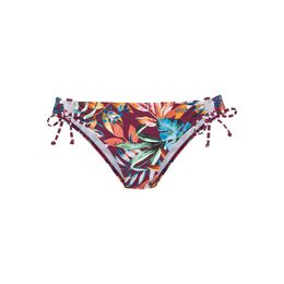Venice Beach Bikini Bottoms female Red size 36
