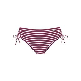 Venice Beach Bikini Bottoms female Red size 36