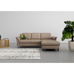 Sit & More Ecksofa SIT & MORE "Maggiore L-Form", grau (taupe), B:258cm H:88cm T:173cm, 100% Polyester, Sofas, Ecksofa, wahlweise mit Kopfteilverstellung, Bettfunktion und Bettkasten
