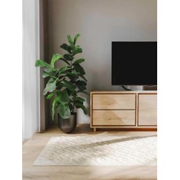 benuta Basic L&auml;ufer f&uuml;r Flur Leo Cream 70x200 cm