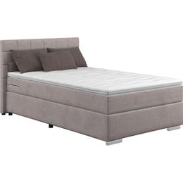 Boxspringbett COTTA "Simba", grau (hellgrau), L:209cm, Komplettbetten, Boxspringbett, wahlweise mit oder ohne Matratze und Topper bestellbar