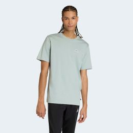T-Shirt adidas Sportswear "COLOR ICON GRAFIK", Herren, Gr. S, wonder sage, Obermaterial: 100% Baumwolle, Shirts T-Shirt