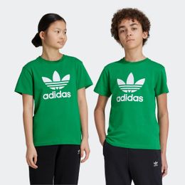 T-Shirt adidas originals "ADICOLOR TREFOIL KIDS", Jungen, Gr. 164, gr&uuml;n, Obermaterial: 100% Baumwolle, Rundhals, Shirts T-Shirt, f&uuml;r Kinder und Teens, sportlicher Stil, ohne Verschluss